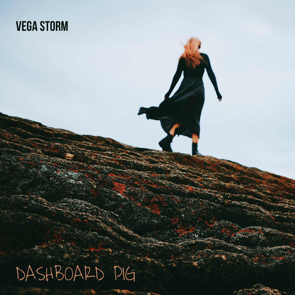 Dashboard Pig | Vega Storm