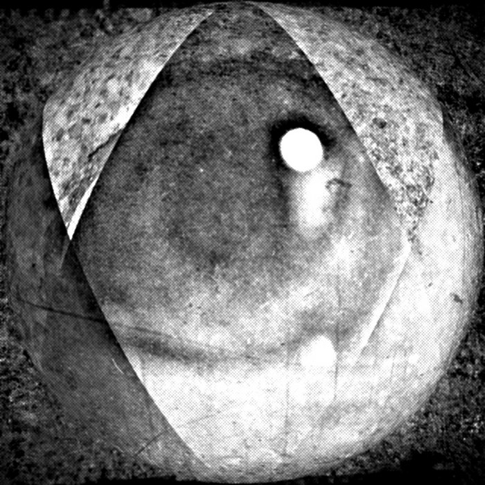 Cosmic Intelligence | Che Quartez