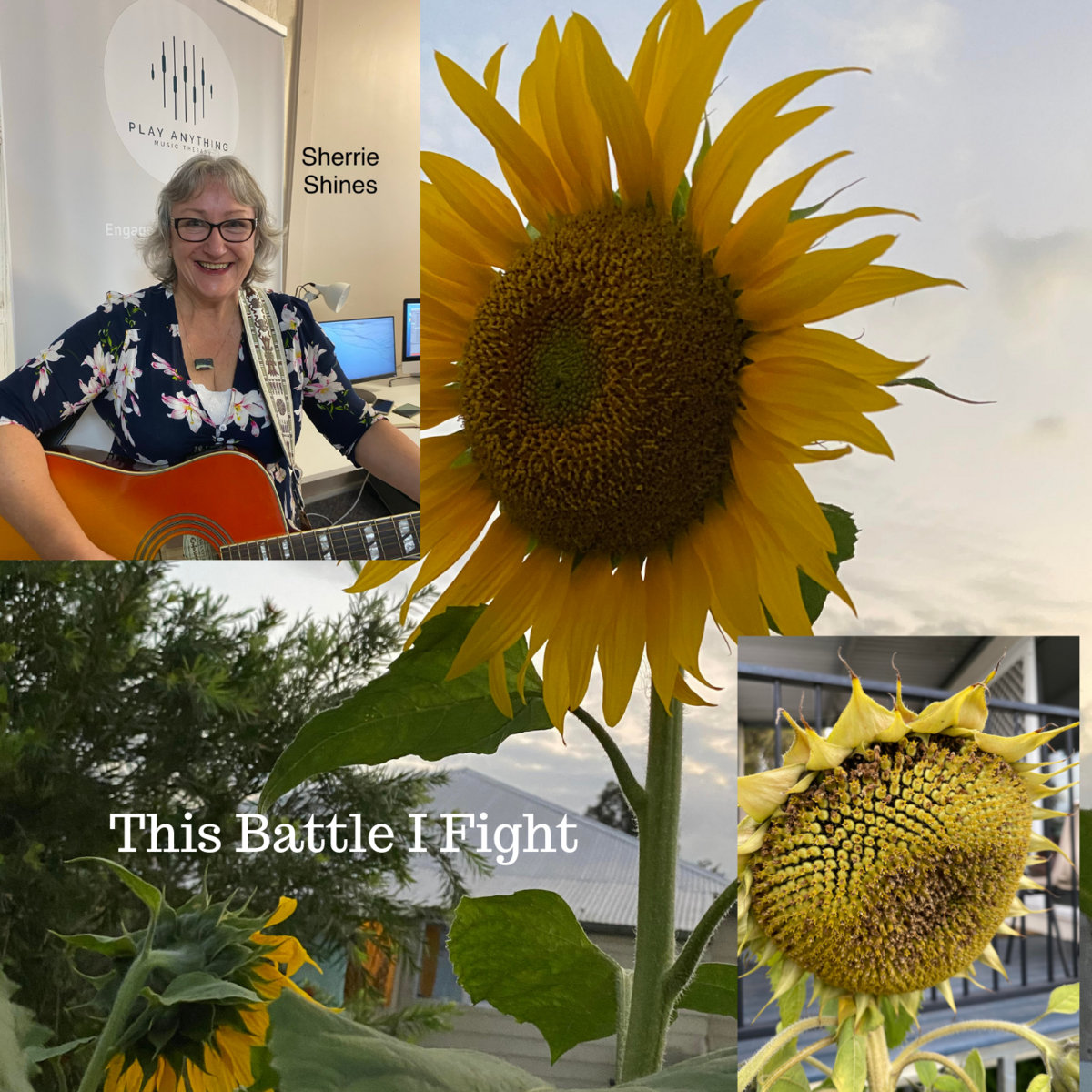 This Battle I Fight | Sherrie Shines