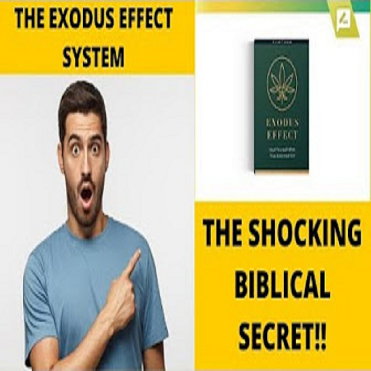 Exodus Effect | Exodus Effect Reviews! | Exodus Effect