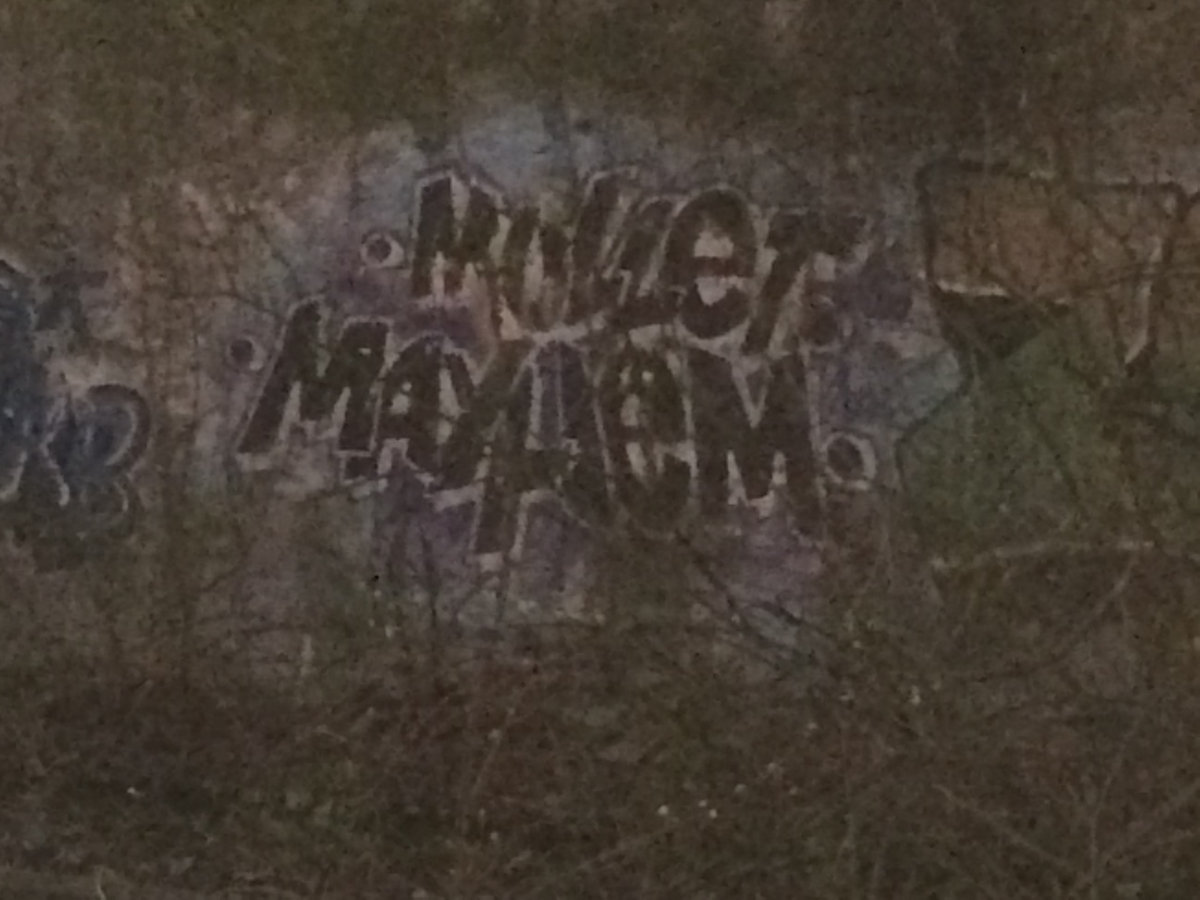 Mullet Mayhem | S.T.S.F | CT Neverdead