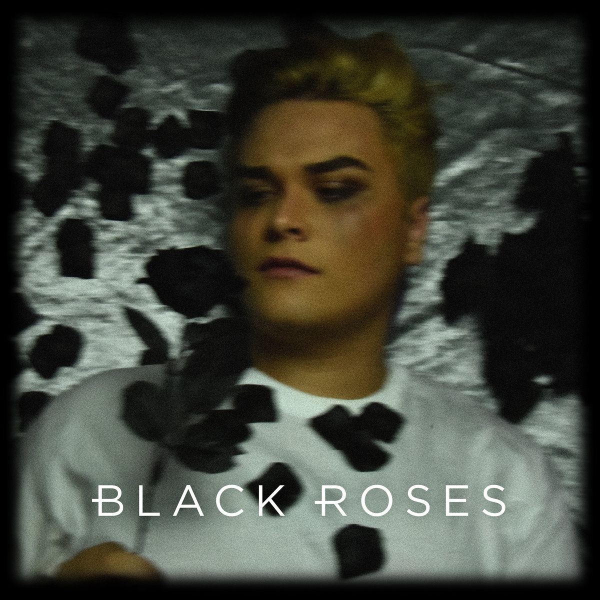Black Roses | Neil Stevenson