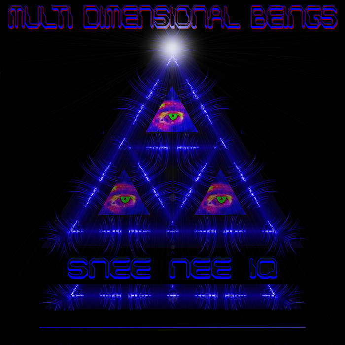 10th Dimensional Beings