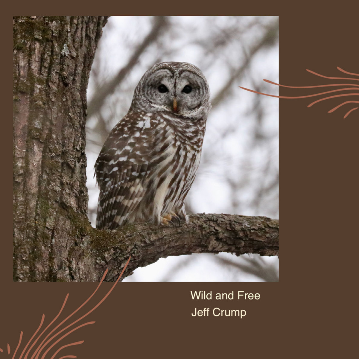 Wild and Free | Jeff Crump