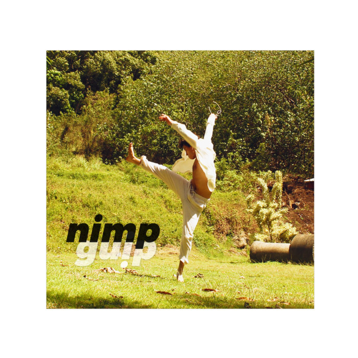 NIMP | GUIP