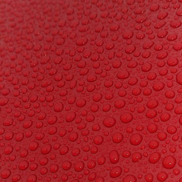 Zinnoberrot | Delphinium