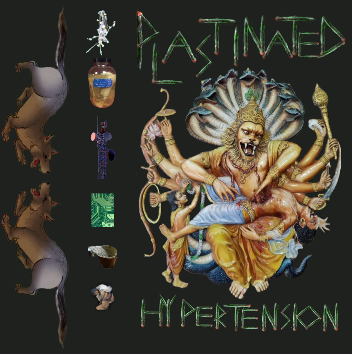 Hypertension | Plastinated