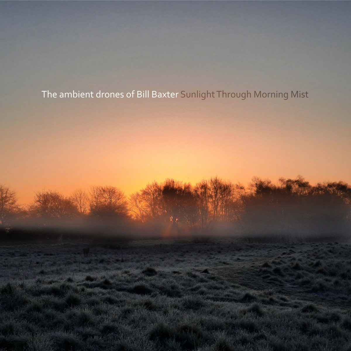 Sunlight Through Morning Mist | The ambient drones of Bill Baxter
