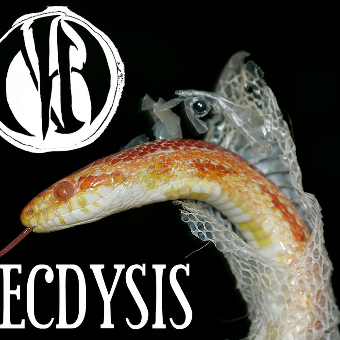 Ecdysis | Ennaytch