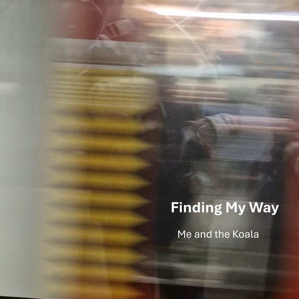 Finding My Way | Me and the Koala