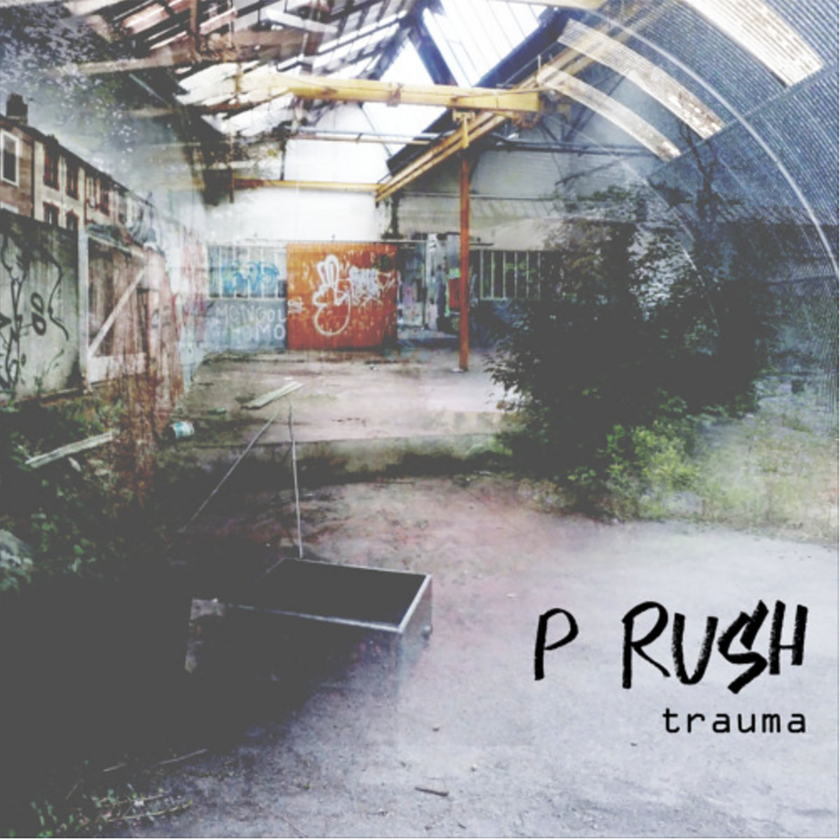 Trauma | P Rush