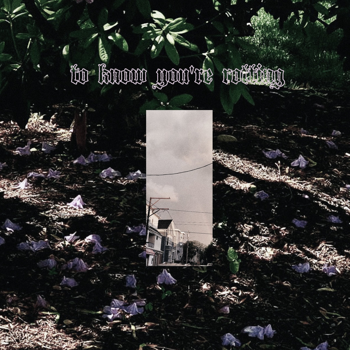 TO KNOW YOU'RE ROTTING | ALDIA