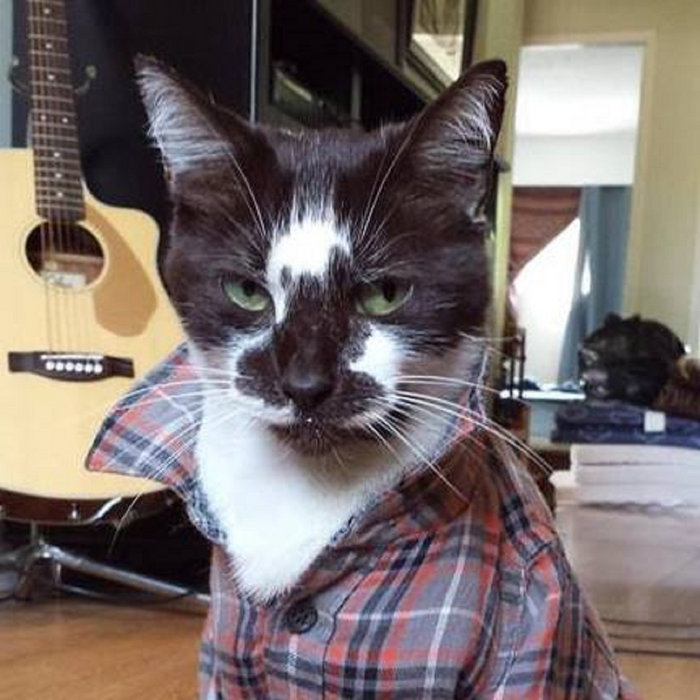 Odd Bodkins Jr | Michael Forkan