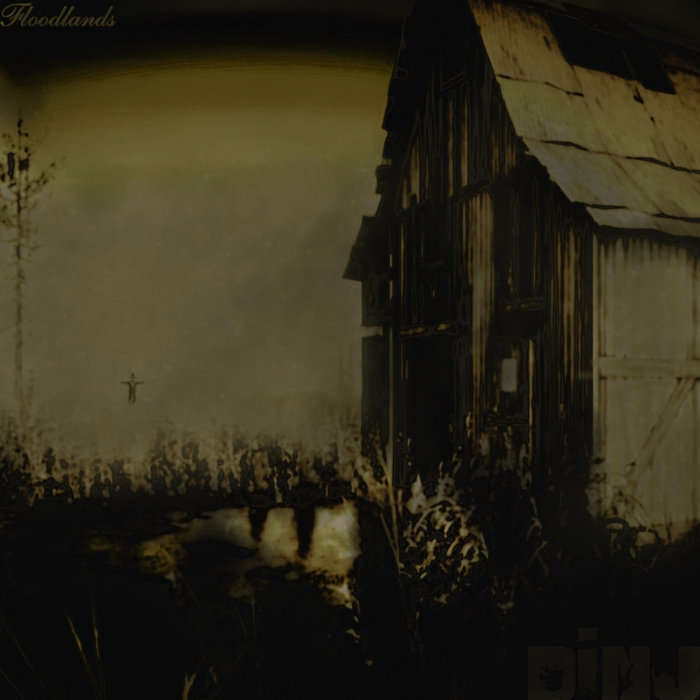 Floodlands | DINJ