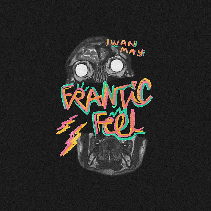 FRANTIC FEEL | SWANMAY