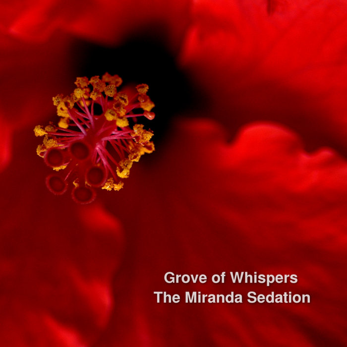 The Miranda Sedation | Grove of Whispers