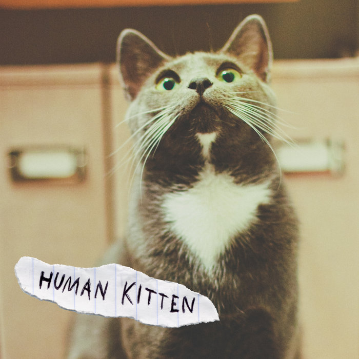 Human Kitten | Human Kitten