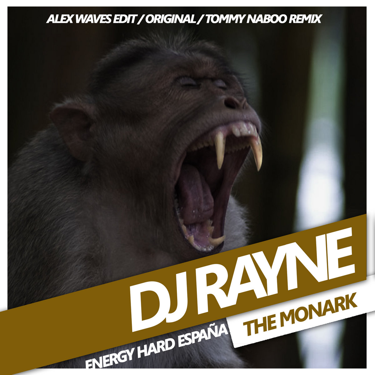 The Monark | Dj Rayne