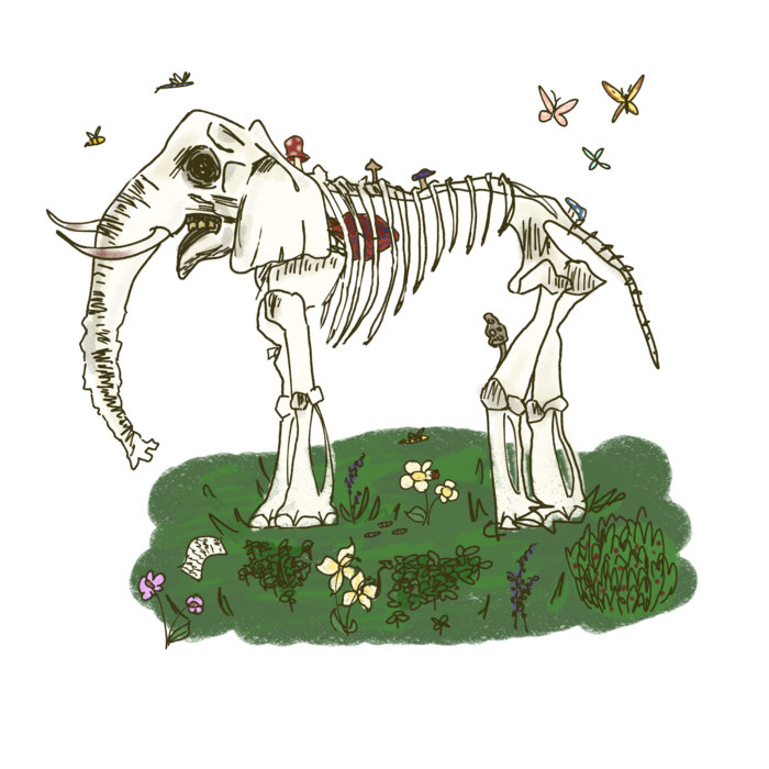 The Body Without Organs: Vol. III | The Body Without Organs