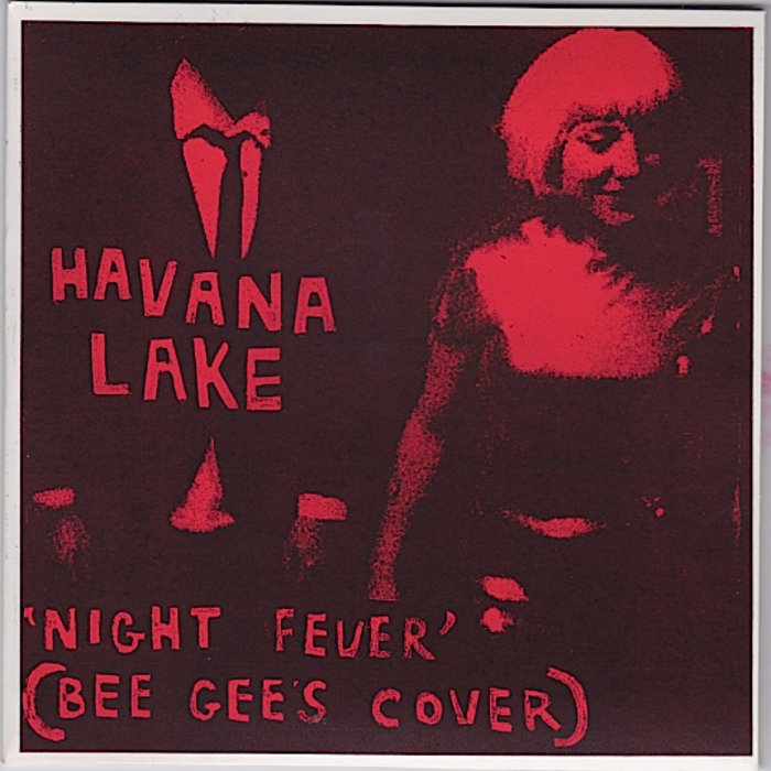 NIGHT FEVER (COVER) | HAVANA LAKE