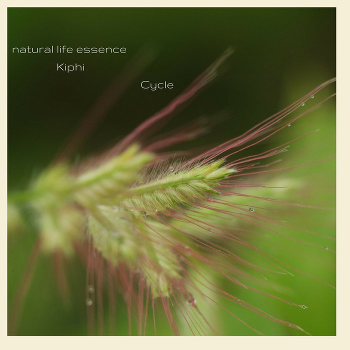 Cycle | Natural Life Essence-Kiphi | Natural Life Essence [ Liquid Frog ...