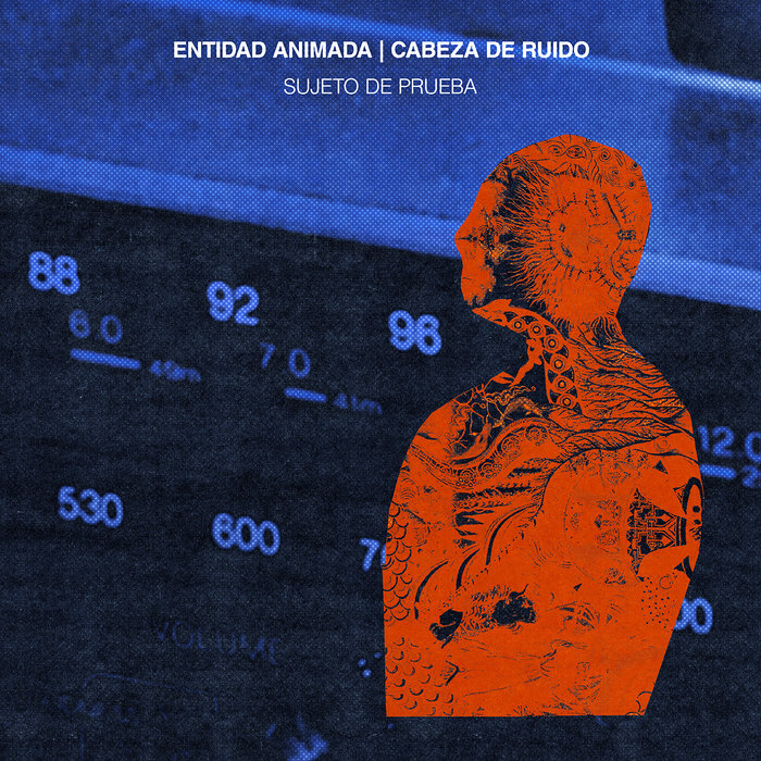 sujeto de prueba | cabeza de ruido & entidad animada | Entidad Animada