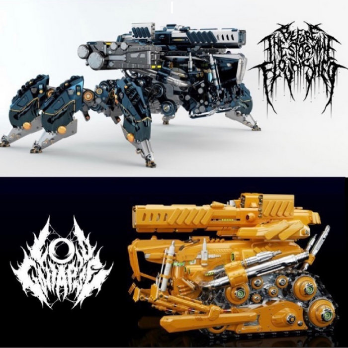 Before the Storm We Flourished | Void Collapse