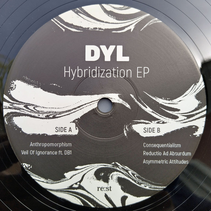 Hybridization | Dyl | re:st