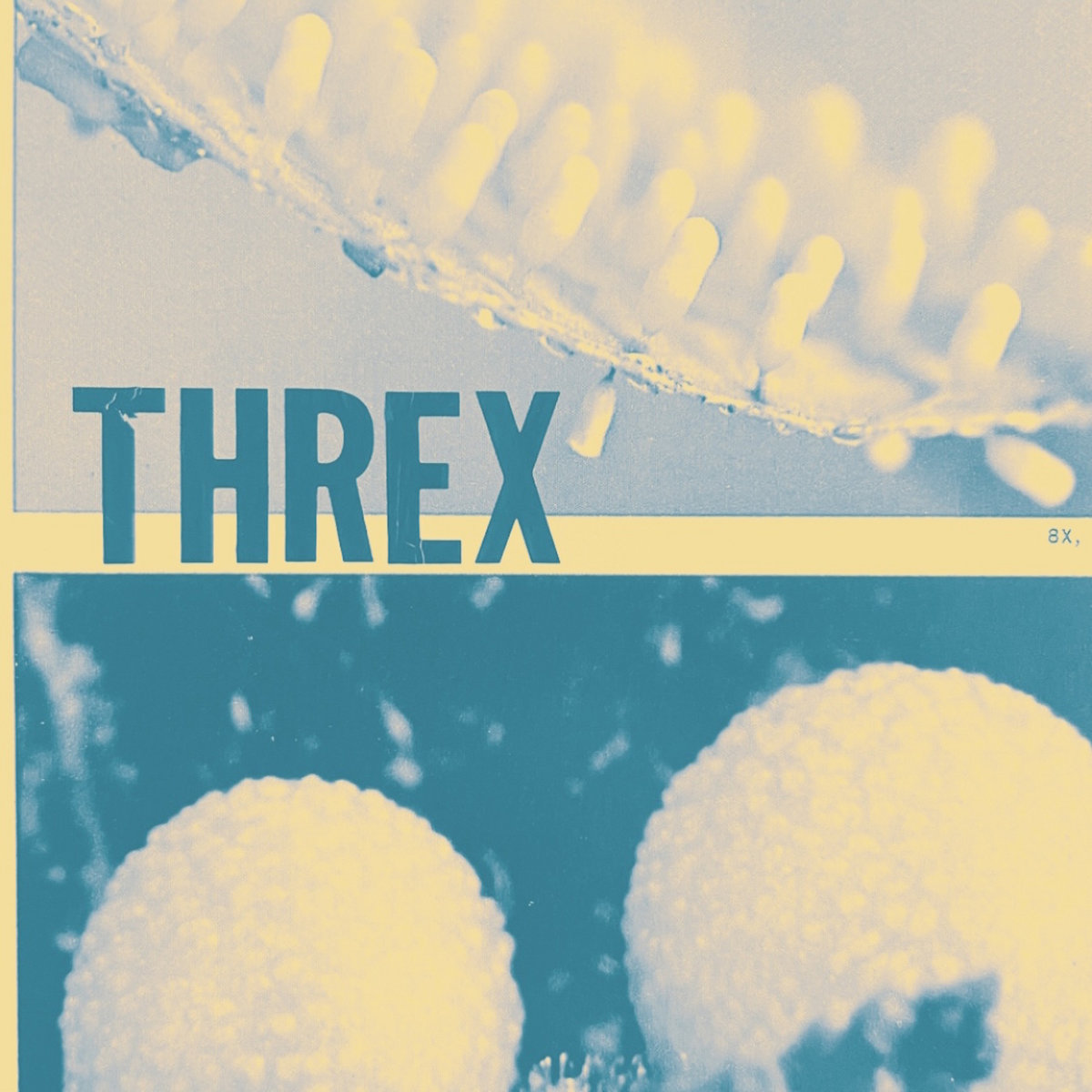 Groop Effort | THREX | kennel jitters recordings