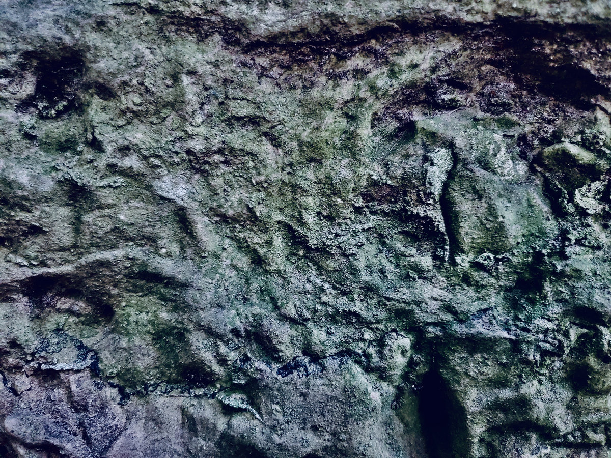 Psalm 103 | Keiko Ying and Kate Bluett | Keiko Ying