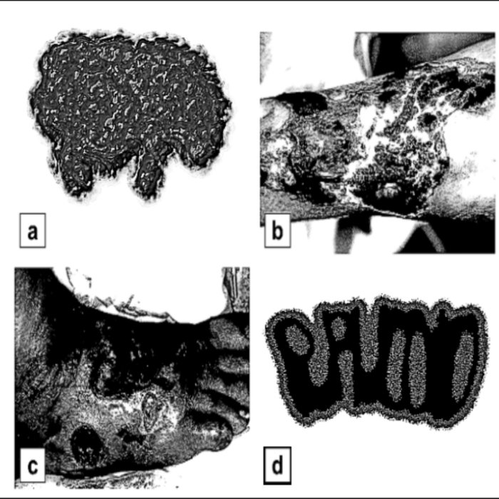 łnfiđel / Puruloid Split | Puruloid, Infidel | Puruloid