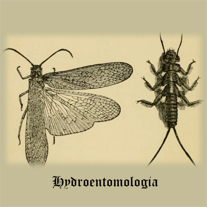 An Introduction to the Orders of the Freshwater Insects | Hydroentomologia