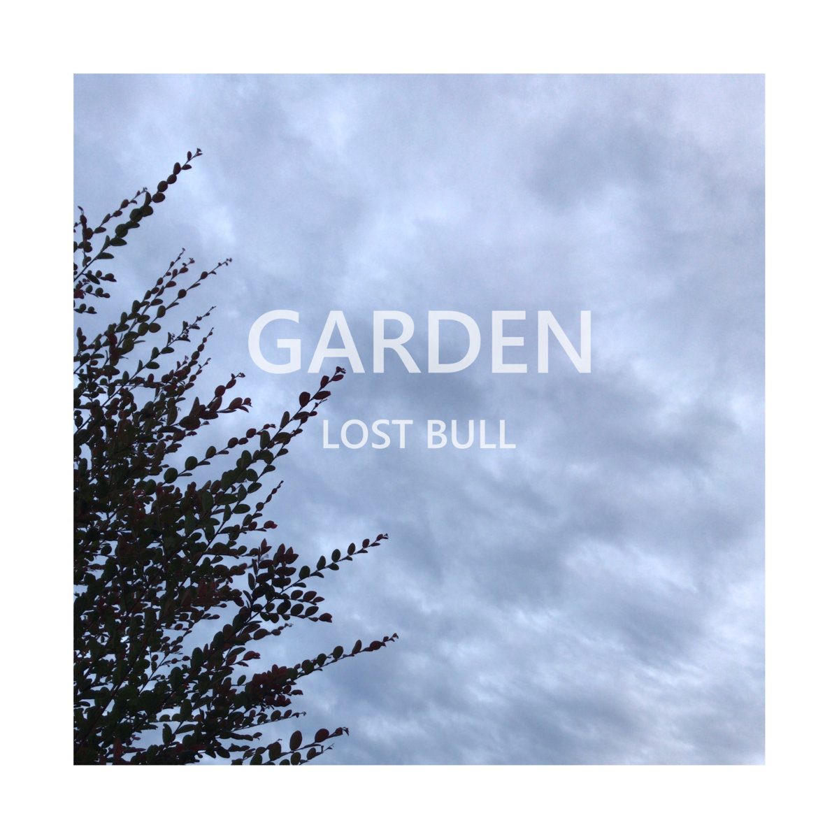 Garden | Lost Bull