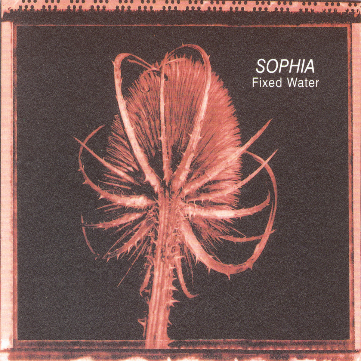 Fixed Water | Sophia