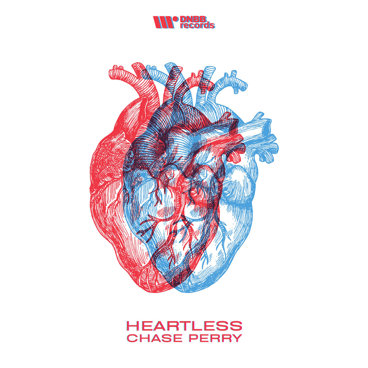 Heartless | Chase Perry | DNBB Records