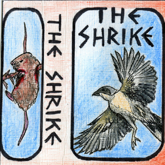THE SHRIKE | THE SHRIKE