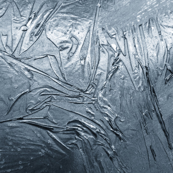 Palinopsia Part.2 | Various Artists | Casual Treatment