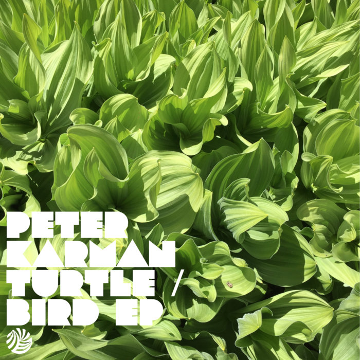 Turtle / Bird EP | Peter Karman