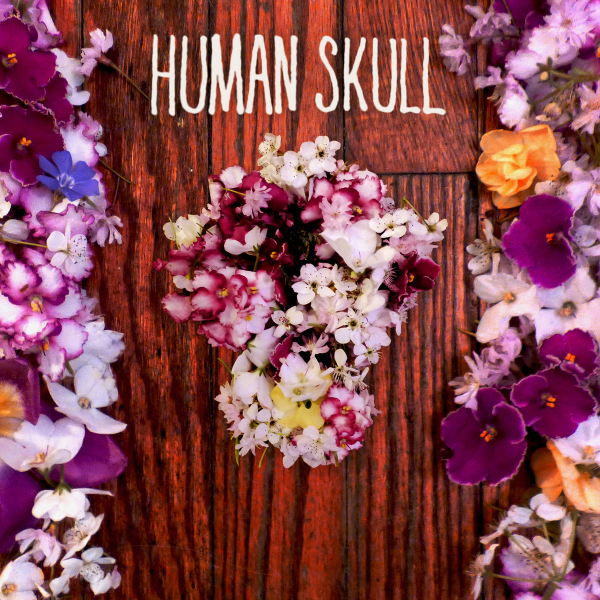 HUMAN SKULL (self-titled) | Human Skull