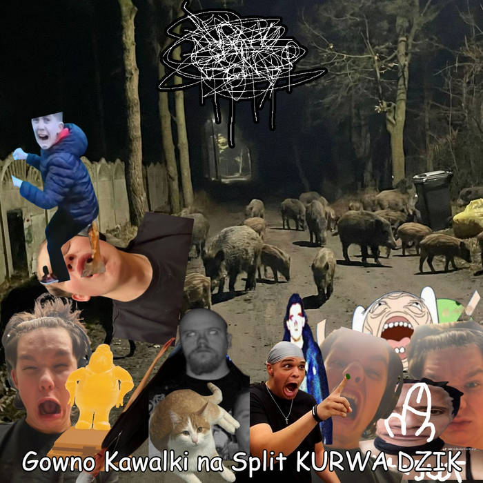 Gowno Kawalki na Split KURWA DZIK | PUSAK GRIND | Ripping Guts Productions