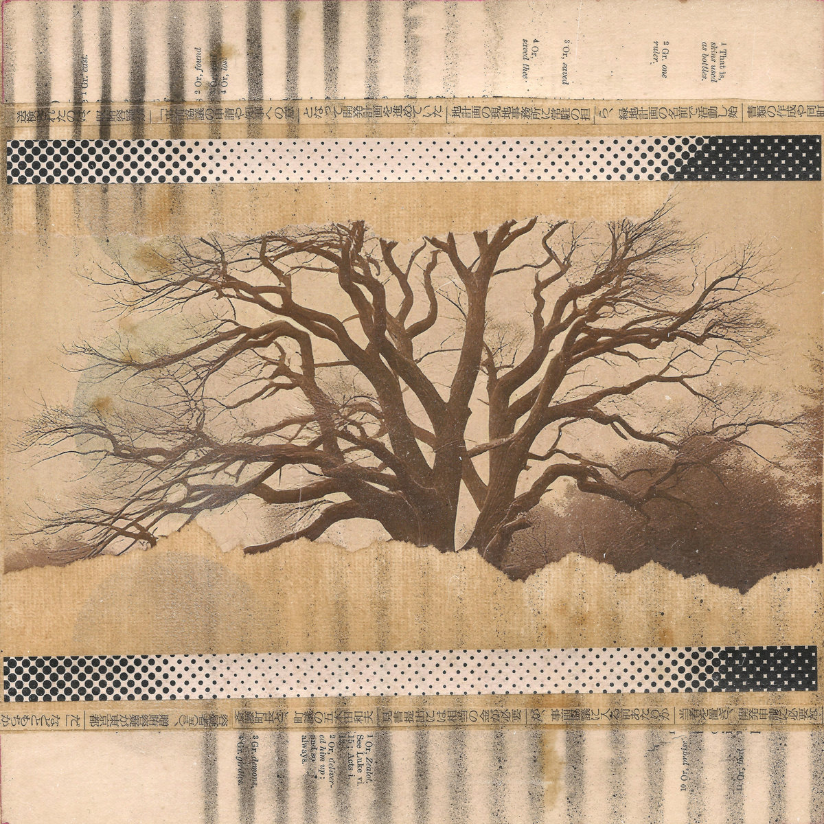 Where Once We Danced | Adrian Lane