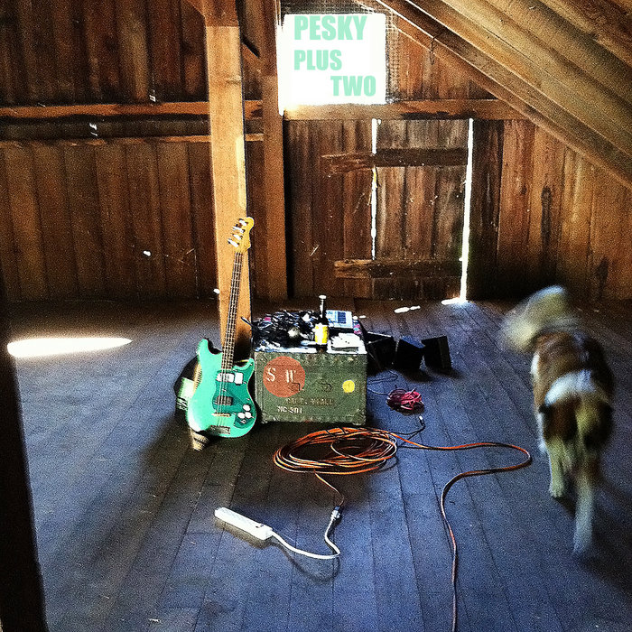 pesky plus two | Jeff Manson