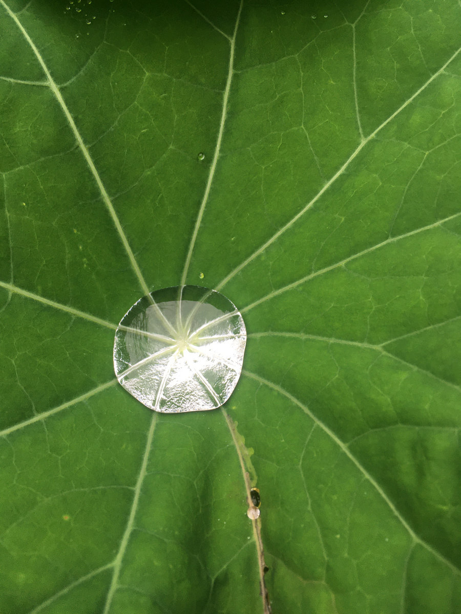 Space Jam | Si Si Es