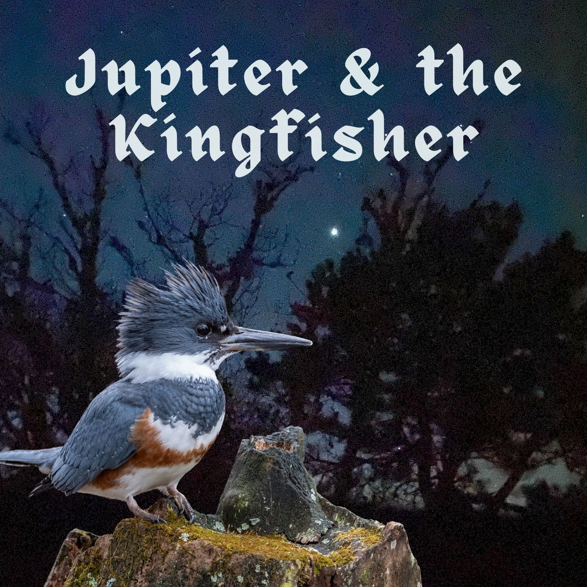 Jupiter and the Kingfisher | Gabrielle Griffis