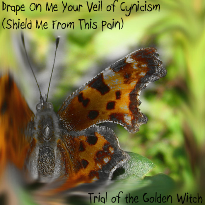 Drape On Me Your Veil of Cynicism (Shield Me From This Pain) EP | Trial ...