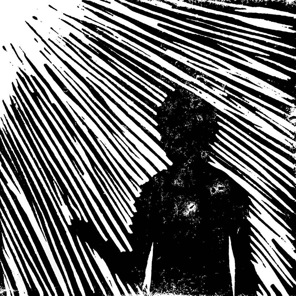 No Daylight Could Penetrate The Darkness | Bird Radio