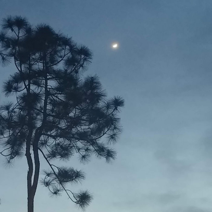 Over the Moon | Cody Allen
