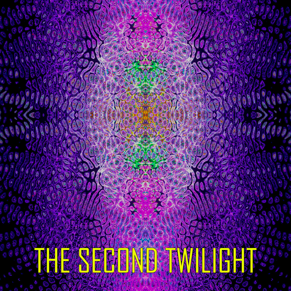 THE SECOND TWILIGHT | SHOEGAZER
