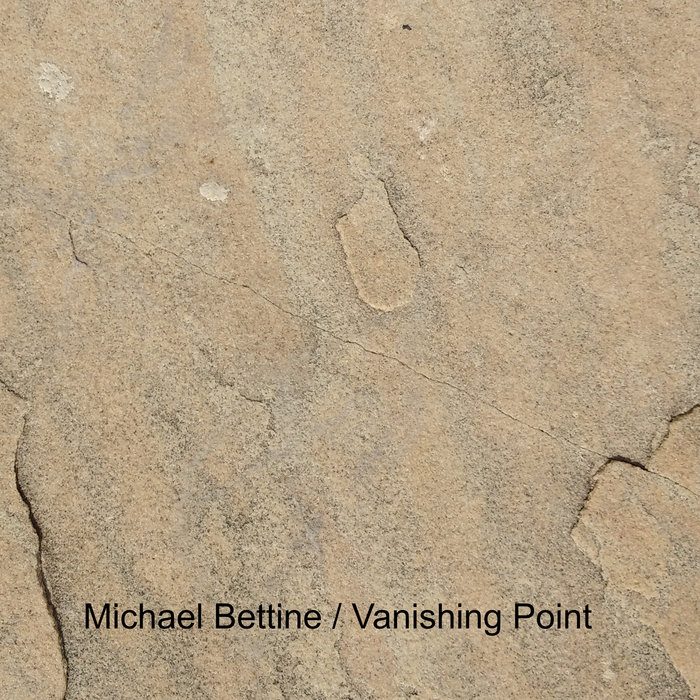 Vanishing Point | Michael Bettine