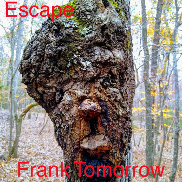 Escape | Frank Tomorrow